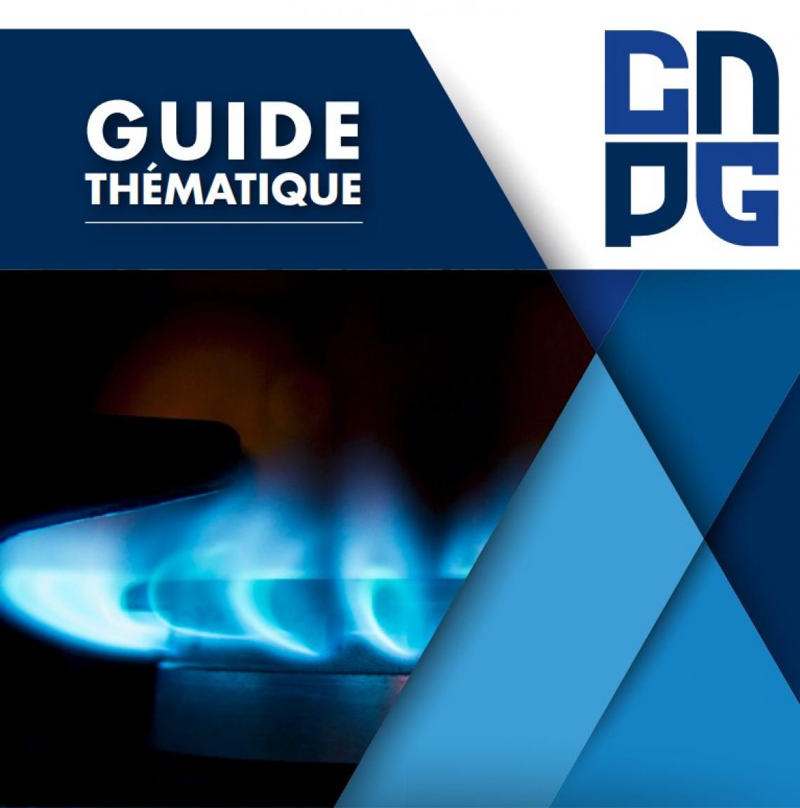 GAZ : Parution des nouvelles versions des guides réglementaires du CNPG ...