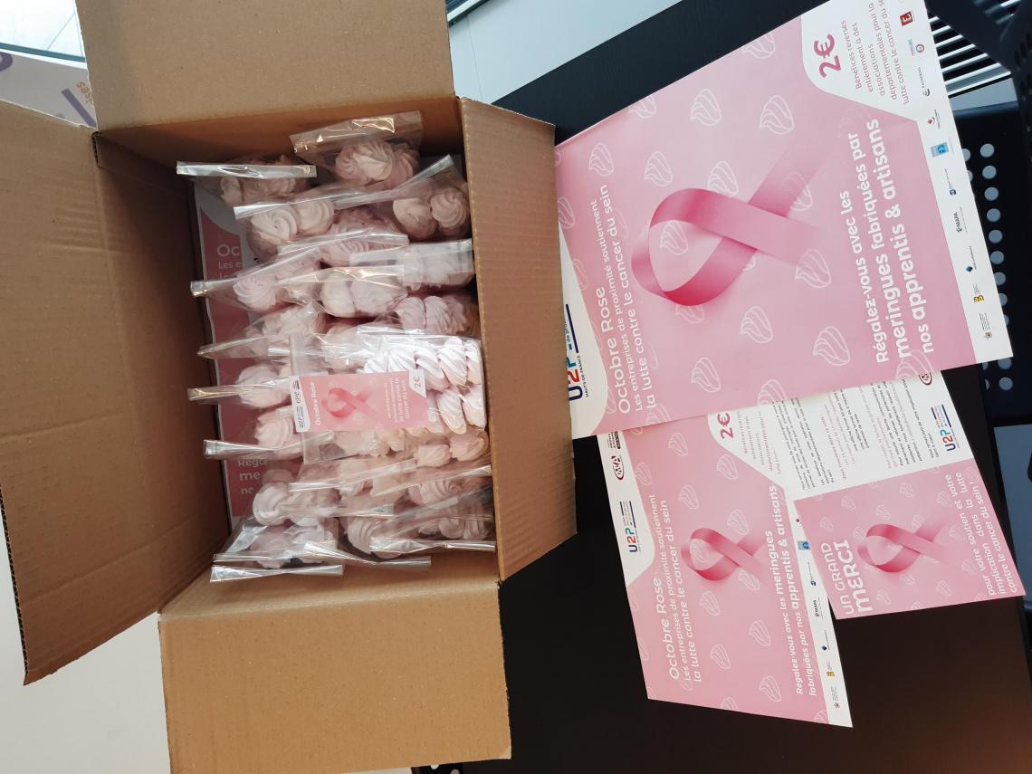 Octobre rose : mobilisez vous dans la lutte contre le cancer du sein ...