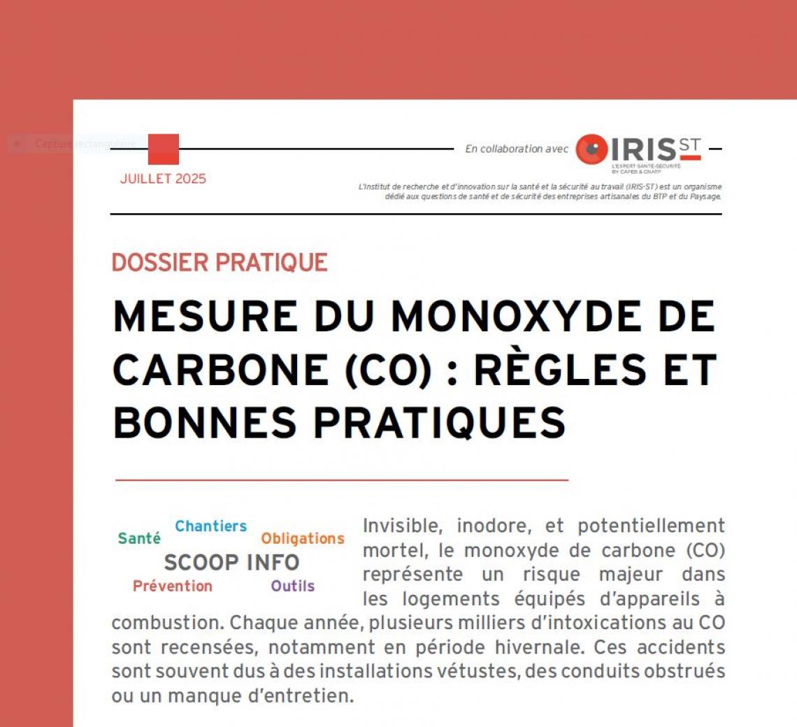 MESURE DU MONOXYDE DE CARBONE (CO) : RÈGLES ET BONNES PRATIQUES ・ CAPEB