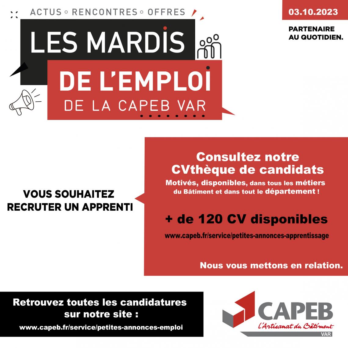 LES MARDIS DE L'EMPLOI DE LA CAPEB : Consultez notre CVthèque ・ CAPEB