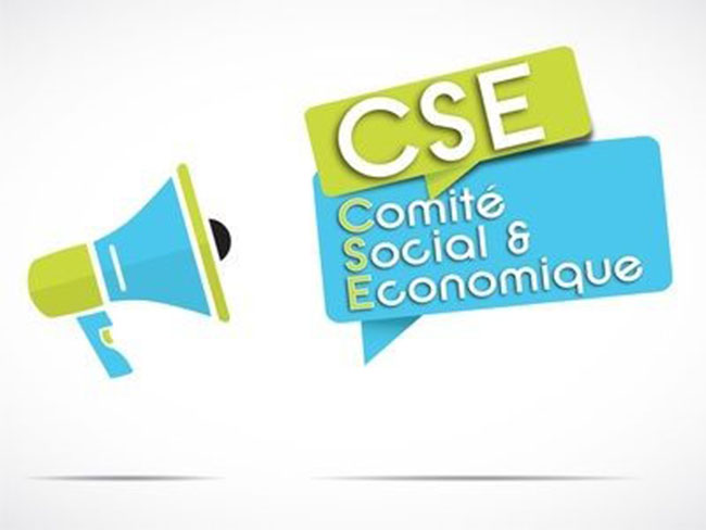Comité social et économique (CSE) : 100 questions-réponses pratiques ...