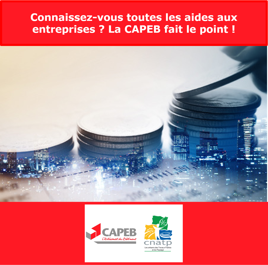 Connaissez-vous toutes les aides aux entreprises ? La CAPEB fait le ...