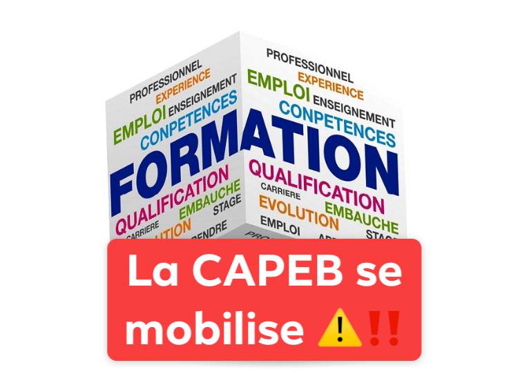 LES ARTISANS PRIVÉS DE FORMATION : ・ CAPEB