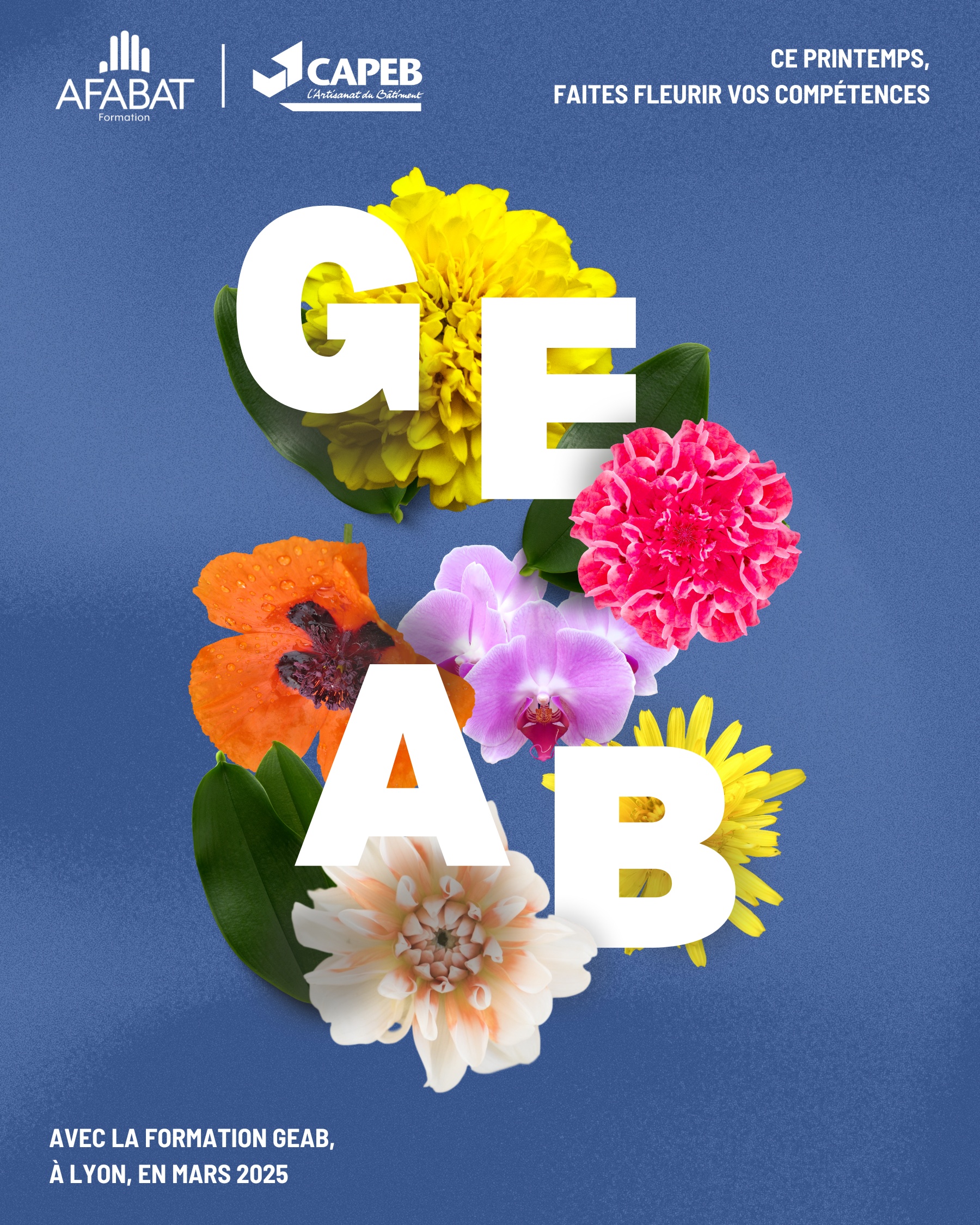 GEAB - REUNION D'INFORMATION ・ CAPEB