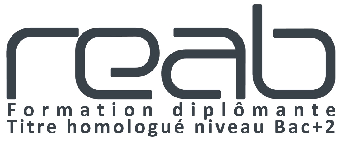 DIRIGER UNE ENTREPRISE ARTISANALE DU BATIMENT ・ CAPEB